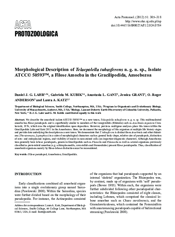 (PDF) Morphological Description of Telaepolella tubasferens n. g. n. sp ...