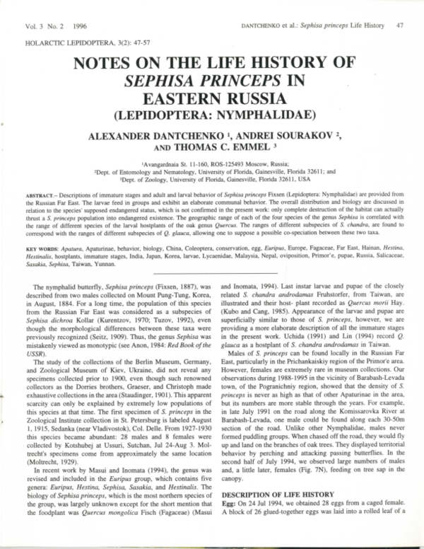 (PDF) Notes on the Life History of Sephisa princeps in Eastern Russia ...