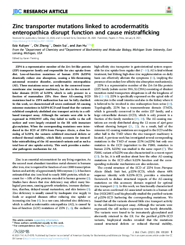 (PDF) Zinc transporter mutations linked to acrodermatitis enteropathica ...