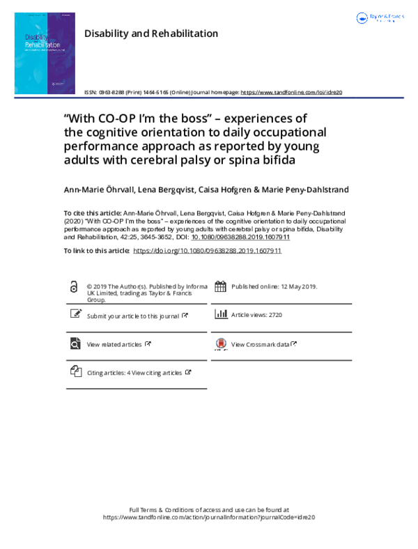 (PDF) “With CO-OP I’m the boss” – experiences of the cognitive ...