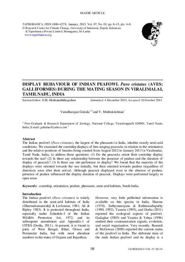 (PDF) Display behaviour of Indian Peafowl Pavo cristatus (Aves ...
