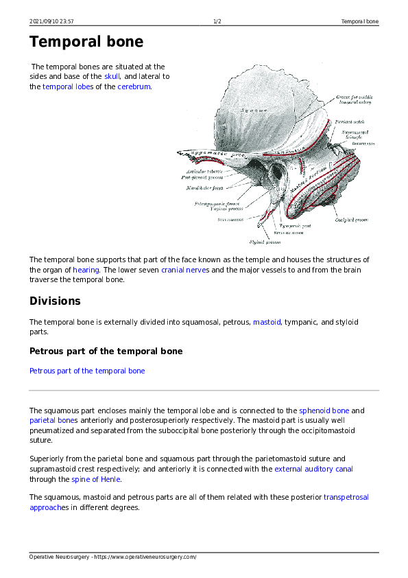 (PDF) The Temporal Bone
