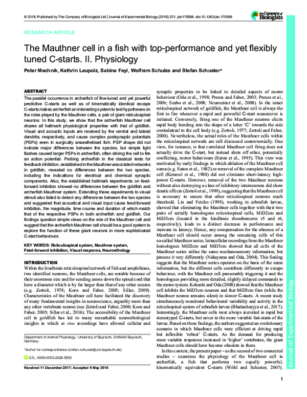(PDF) The Mauthner cell in a fish with top-performance and yet flexibly ...
