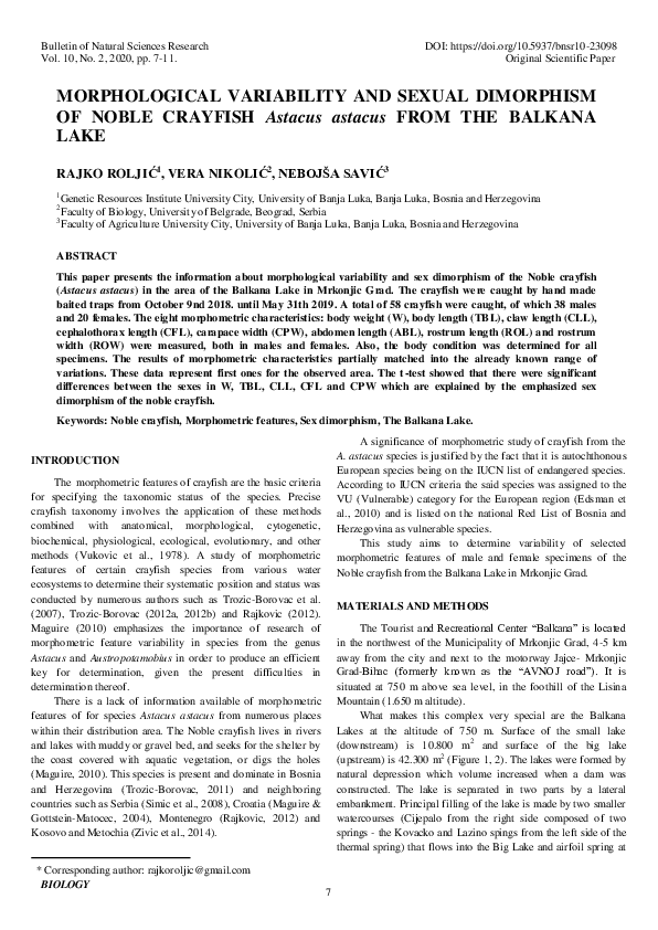 (PDF) Morphological variability and sexual dimorphism of noble crayfish ...