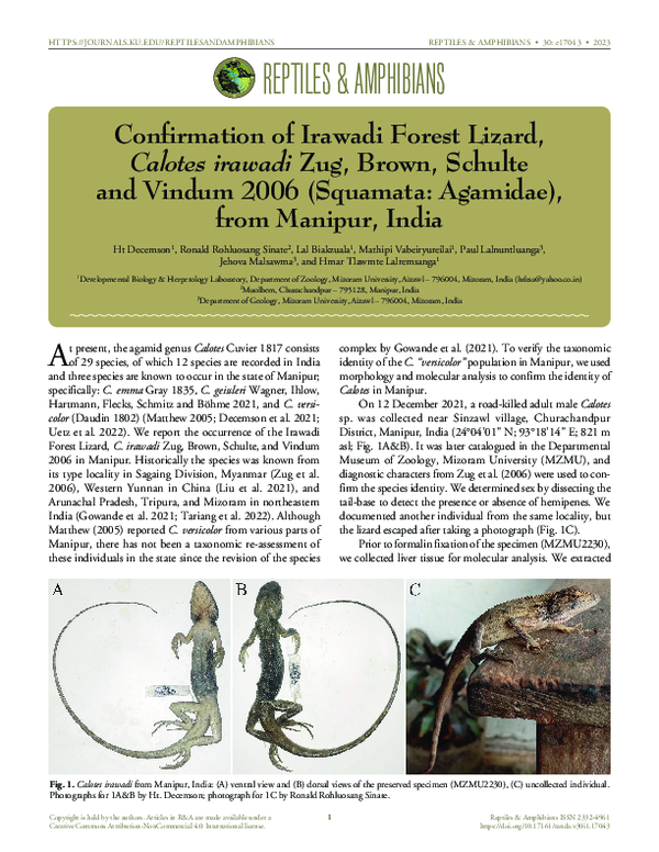 (PDF) Confirmation of Irawadi Forest Lizard, Calotes irawadi Zug, Brown ...