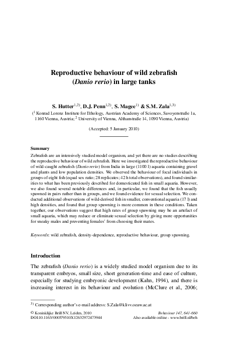 (PDF) Reproductive behaviour of wild zebrafish (Danio rerio) in large tanks
