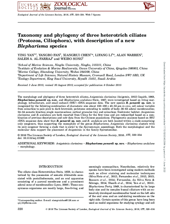(PDF) Taxonomy and phylogeny of three heterotrich ciliates (Protozoa ...