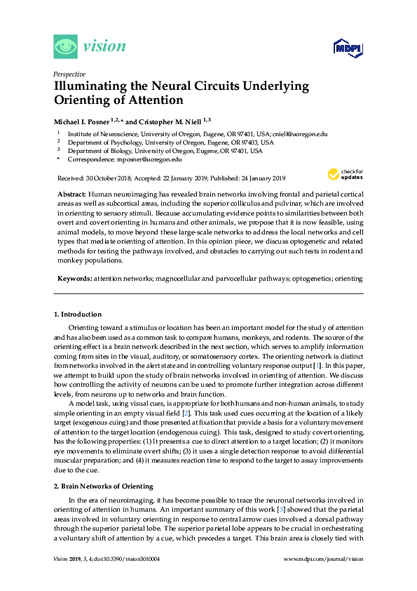 (PDF) Illuminating the Neural Circuits Underlying Orienting of Attention | Michael Posner ...