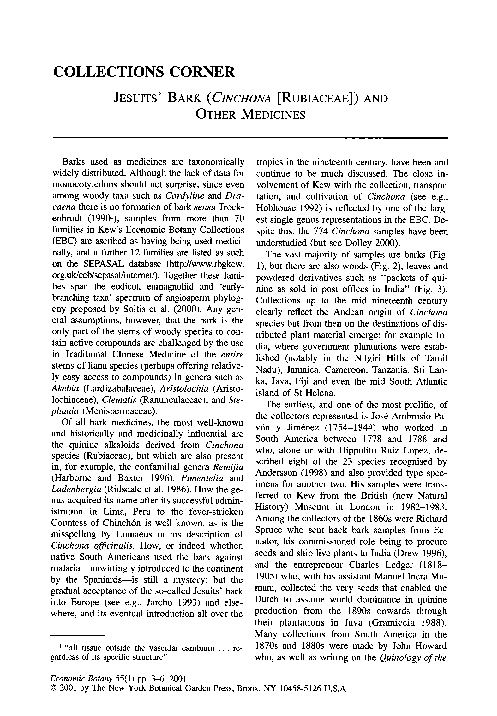 (PDF) Jesuits’ bark(cinchona [Rubiaceae]) and other medicines