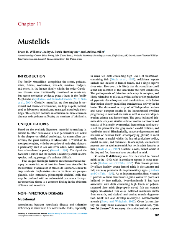 (PDF) Mustelids