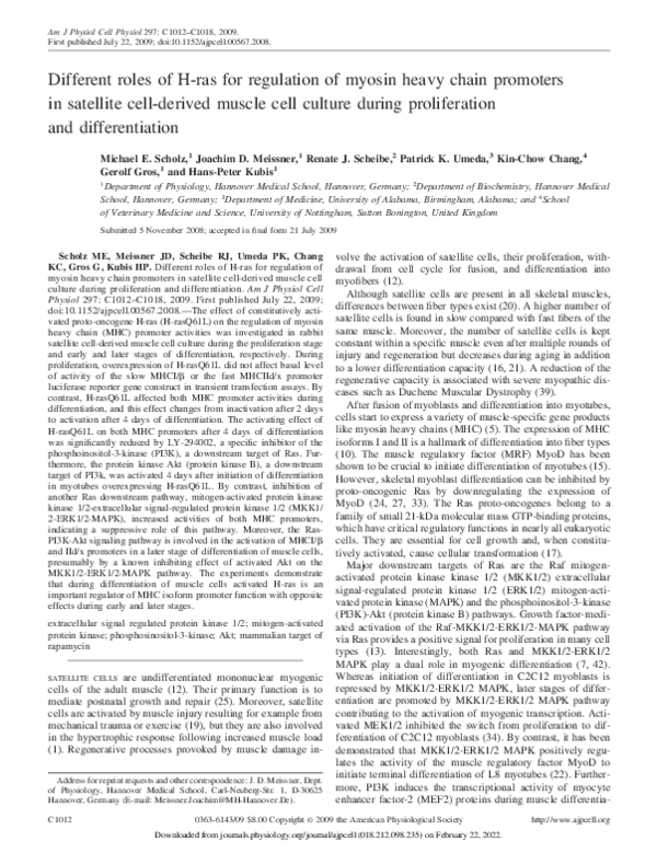Different roles of H-ras for regulation of myosin heavy chain promoters ...