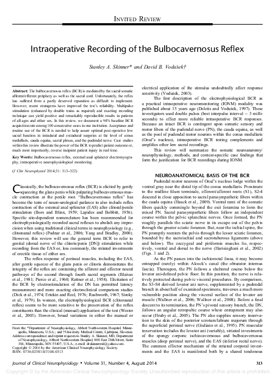 (PDF) Intraoperative Recording of the Bulbocavernosus Reflex