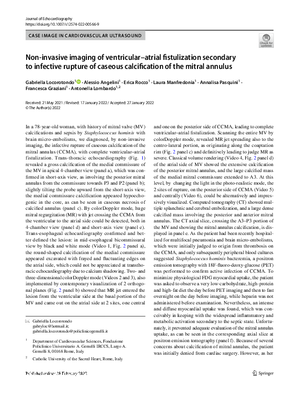 (PDF) Non-invasive imaging of ventricular–atrial fistulization ...