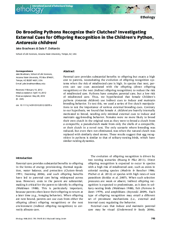 (PDF) Do Brooding Pythons Recognize their Clutches? Investigating ...