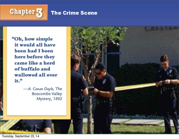 (PDF) Body of Crime | Mark Angeles - Academia.edu
