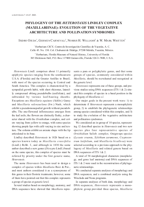 (PDF) Filogenia del complejo Heterotaxis Lindl. (Maxillariinae ...