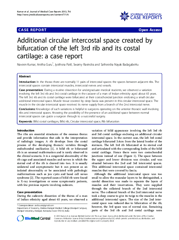 (PDF) Additional circular intercostal space created by bifurcation of ...