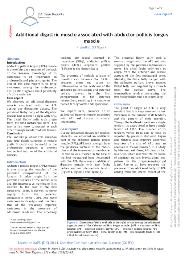 (PDF) Additional digastric muscle associated with abductor pollicis ...