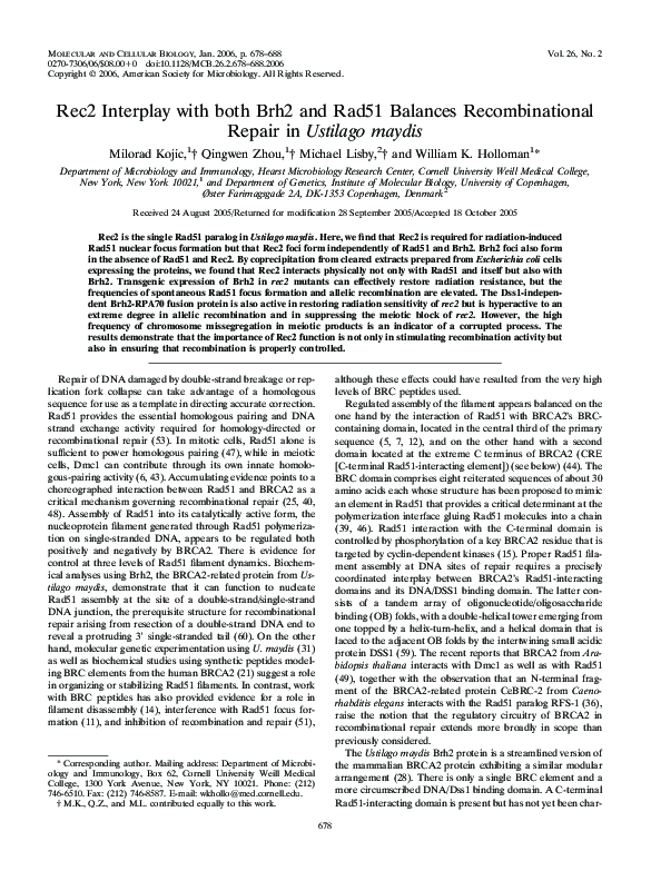 (PDF) Rec2 Interplay with both Brh2 and Rad51 Balances Recombinational ...