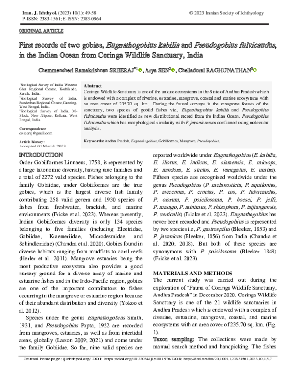 (PDF) First records of two gobies, Eugnathogobius kabilia and ...