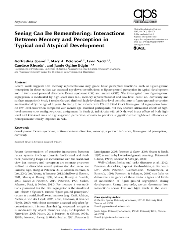 (PDF) Seeing Can Be Remembering: Interactions Between Memory and ...