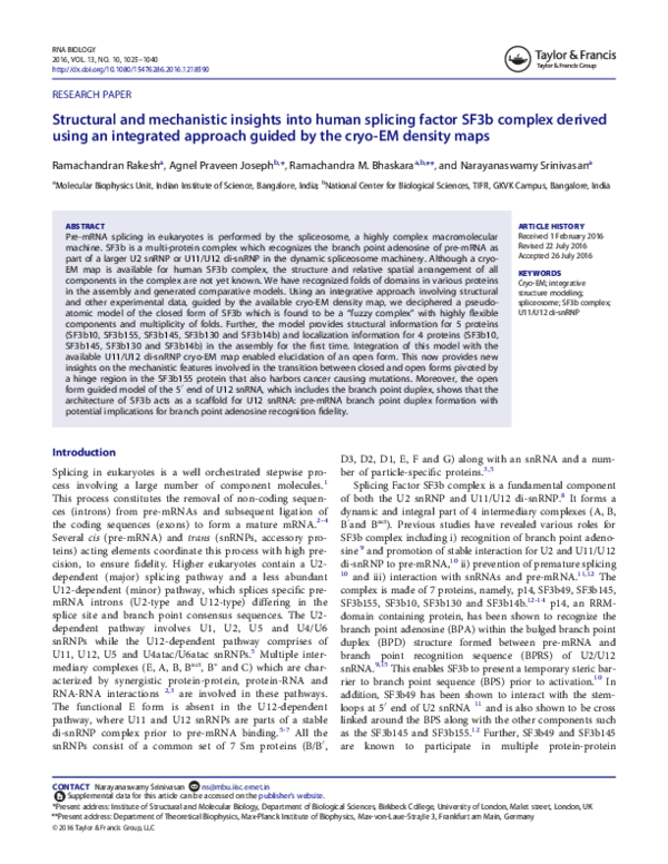 (PDF) Structural and mechanistic insights into human splicing factor ...