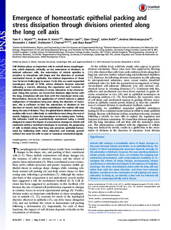 (PDF) Emergence of homeostatic epithelial packing and stress ...