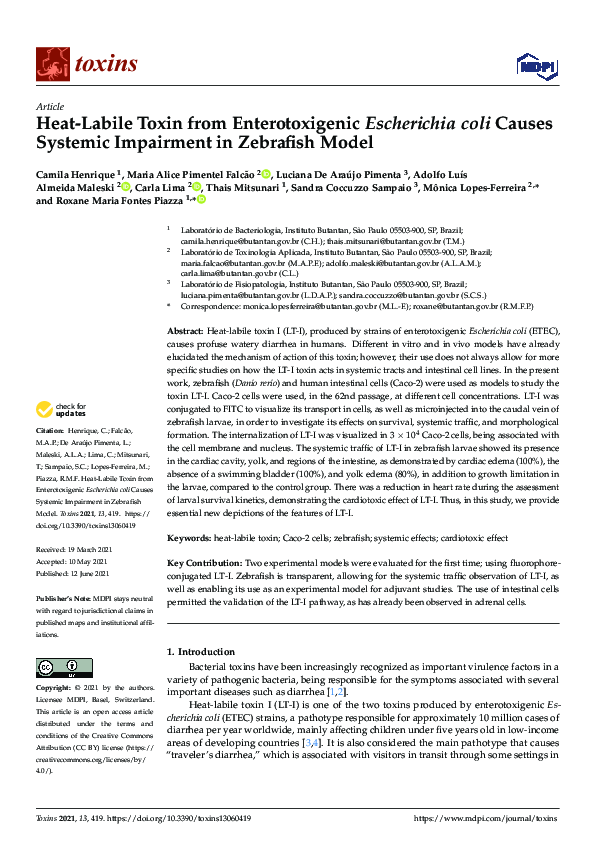 (PDF) Heat-Labile Toxin from Enterotoxigenic Escherichia coli Causes ...