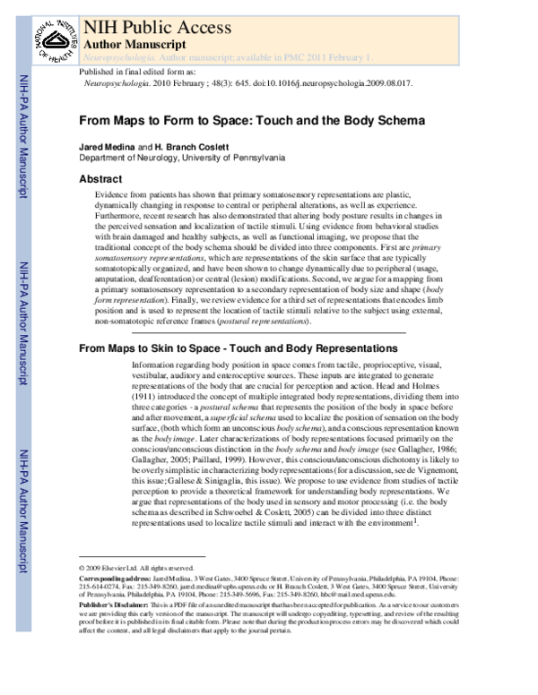 (PDF) From maps to form to space: touch and the body schema