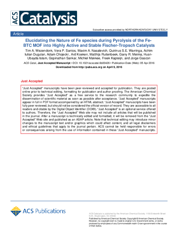 (PDF) Elucidating the Nature of Fe Species during Pyrolysis of the Fe ...