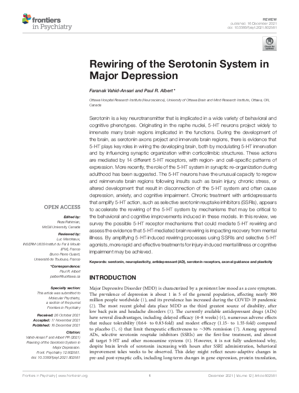 (PDF) Rewiring of the Serotonin System in Major Depression