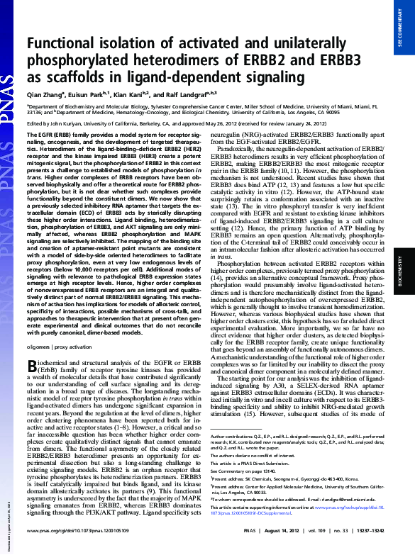(PDF) Functional isolation of activated and unilaterally phosphorylated heterodimers of ERBB2 ...