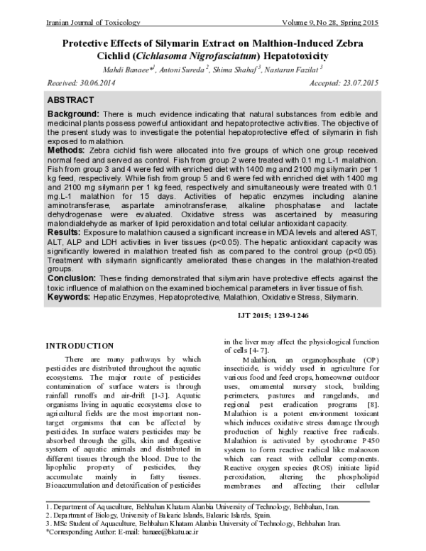 (PDF) Protective Effects of Silymarin Extract on Malthion-Induced Zebra ...