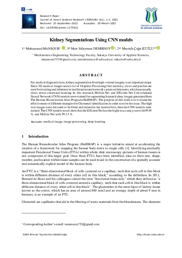 (PDF) Kidney Segmentations Using CNN models