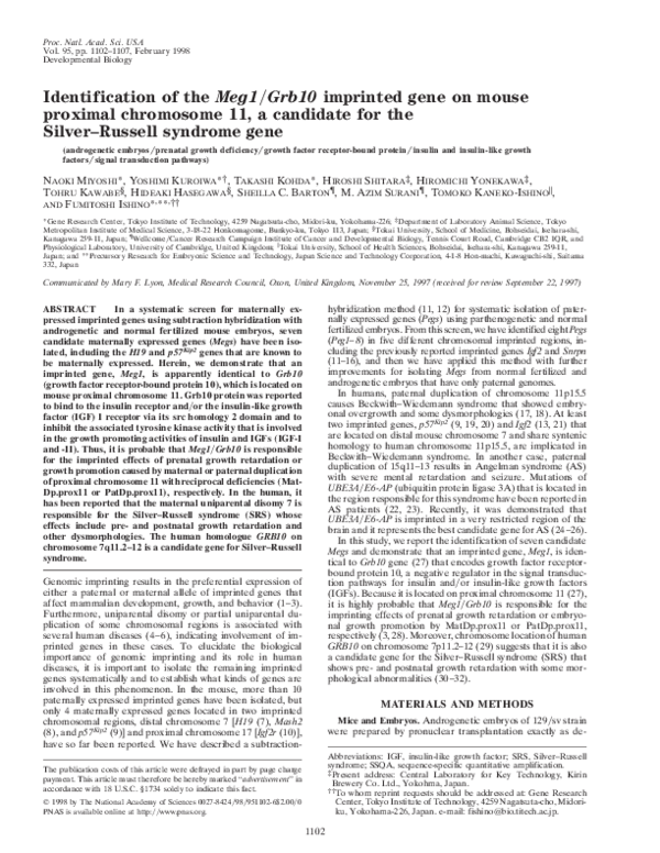 (PDF) Identification of the Meg1 / Grb10 imprinted gene on mouse ...