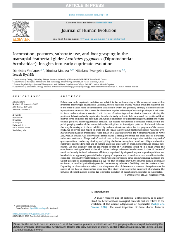 (PDF) Locomotion, postures, substrate use, and foot grasping in the ...