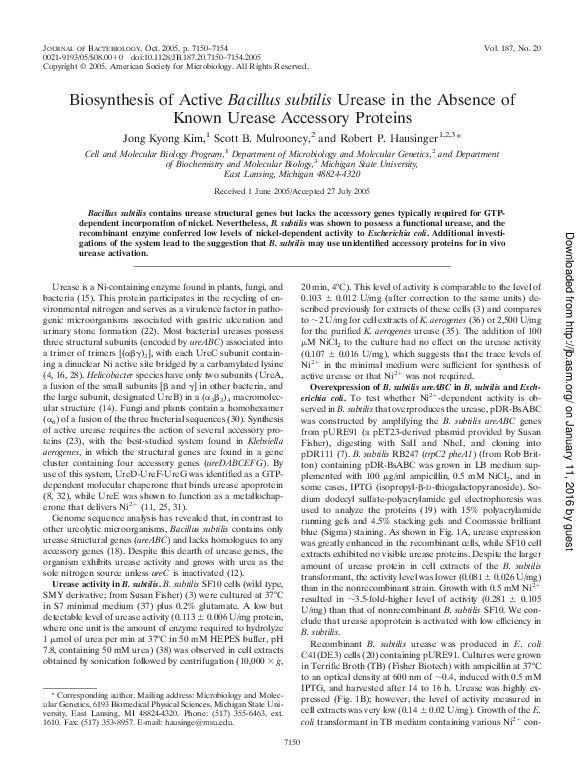 (PDF) Biosynthesis of Active Bacillus subtilis Urease in the Absence of ...