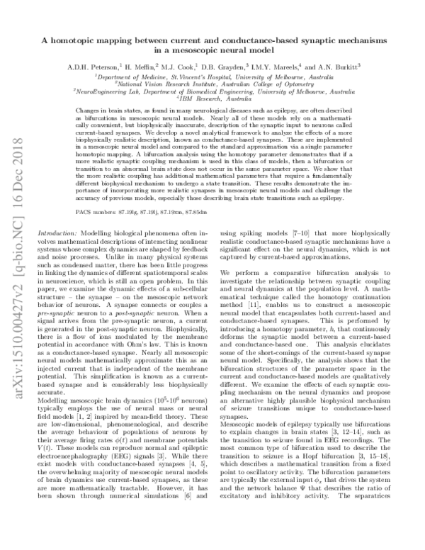 (PDF) A homotopic mapping between current-based and conductance-based ...