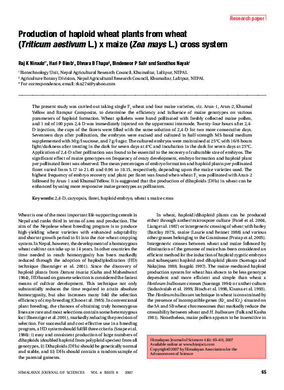 (PDF) Production of haploid wheat plants from wheat ( Triticum aestivum ...