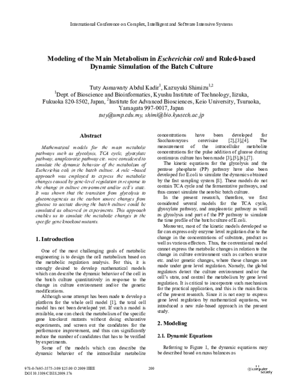 (PDF) Modeling of the Main Metabolism in Escherichia coli and Ruled-Based Dynamic Simulation of ...