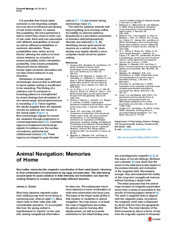 (PDF) Animal Navigation: Memories of Home