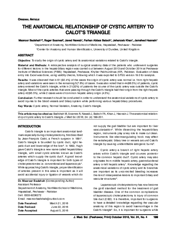 (PDF) The Anatomical Relationship of Cystic Artery to Calot’s Triangle