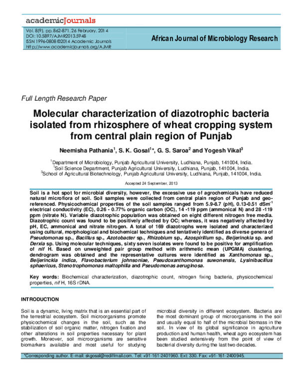 (PDF) Molecular characterization of diazotrophic bacteria isolated from rhizosphere of wheat ...