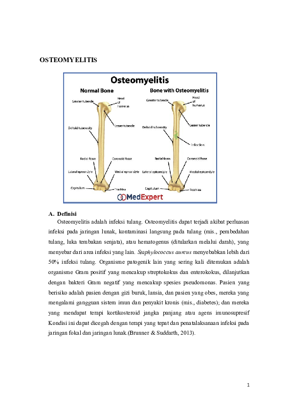 (DOC) Laporan Pendahuluan Osteomyelitis