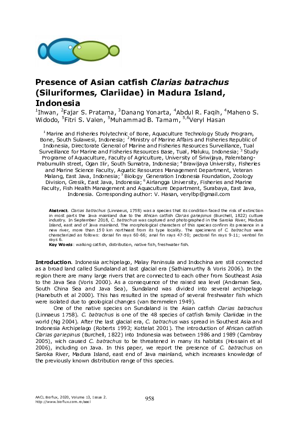 (PDF) Presence of Asian catfish Clarias batrachus (Siluriformes ...
