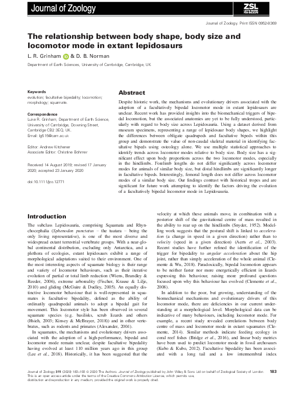 (PDF) Postcranial Morphology and the Locomotor Adaptations of Extant ...