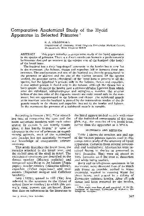 (PDF) Comparative anatomical study of the hyoid apparatus in selected ...
