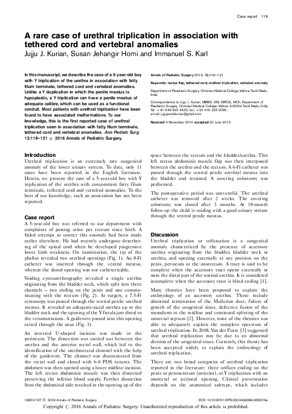 (PDF) A rare case of urethral triplication in association with tethered ...