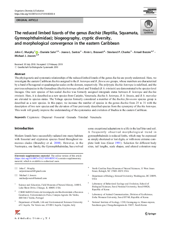 (PDF) The reduced limbed lizards of the genus Bachia (Reptilia ...