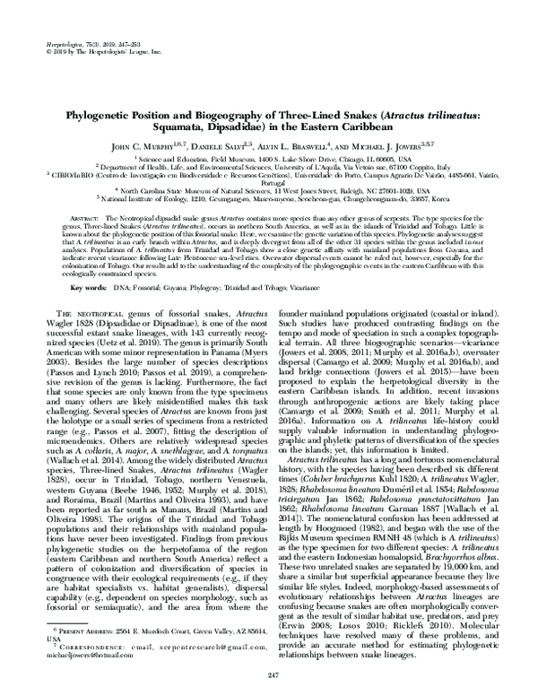 (PDF) Phylogenetic Position and Biogeography of Three-Lined Snakes ...